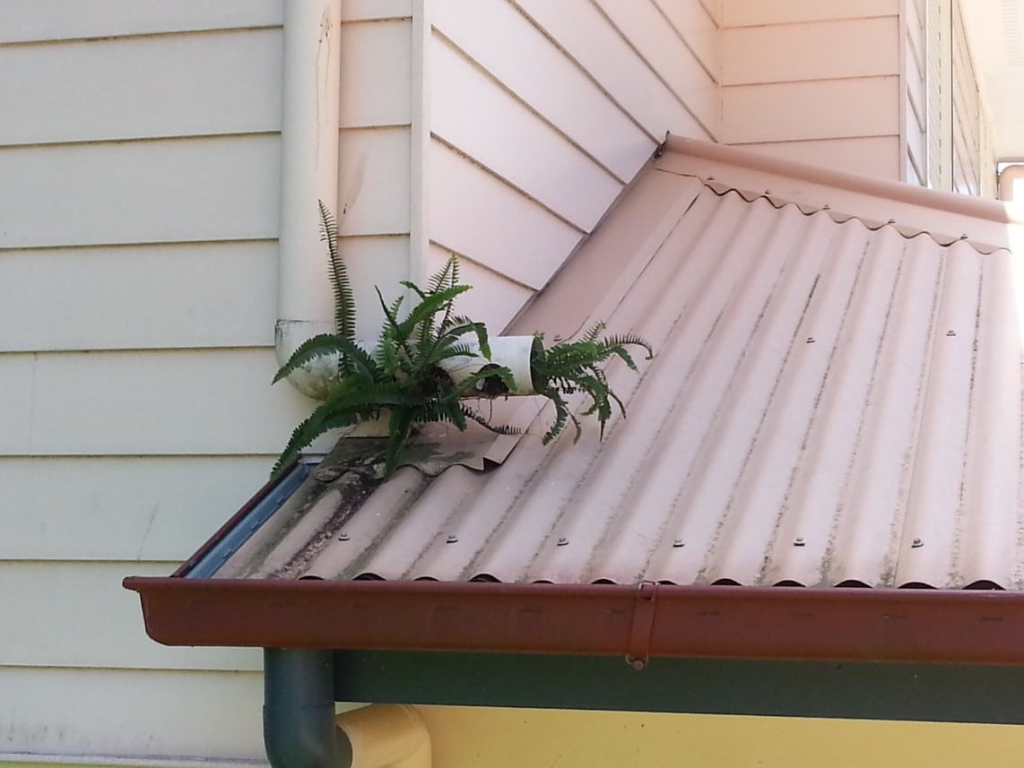 Blocked Gutters - Sunshine Coast Gutter Guard