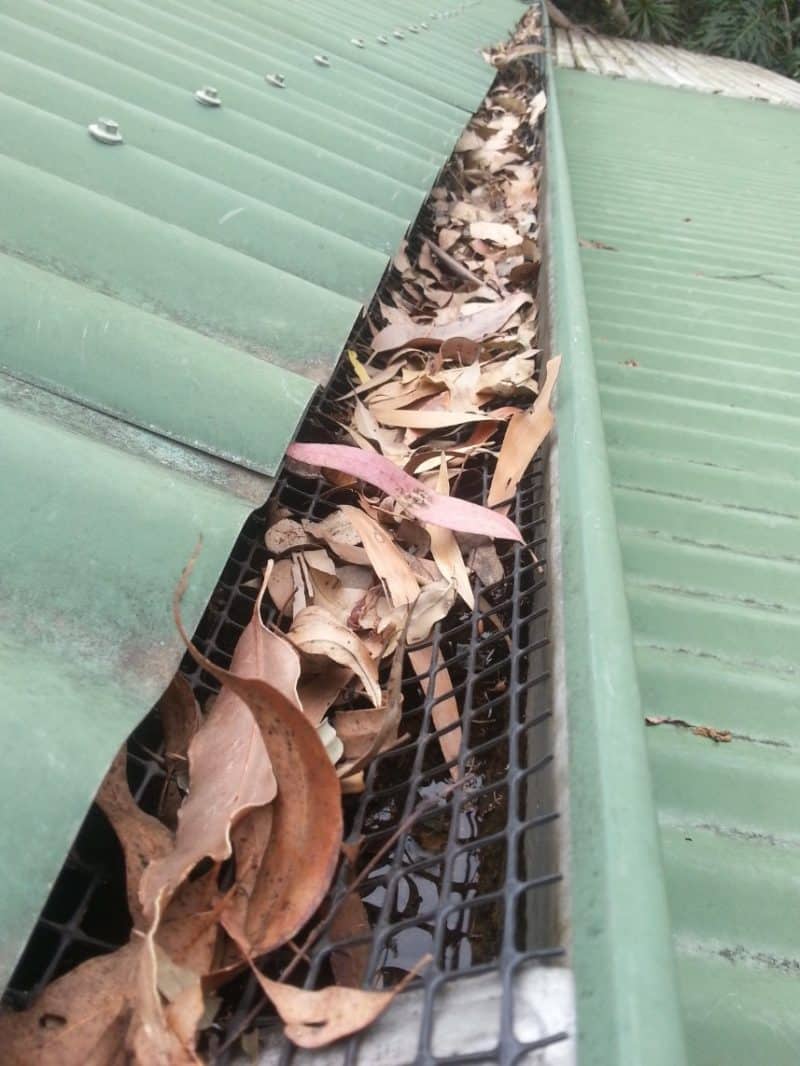 Replaced Gutter Guard - Sunshine Coast Gutter Guard